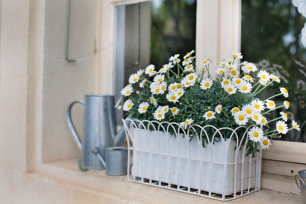 5 Creative Planter Ideas For A Stylish Indoor Or Outdoor Garden