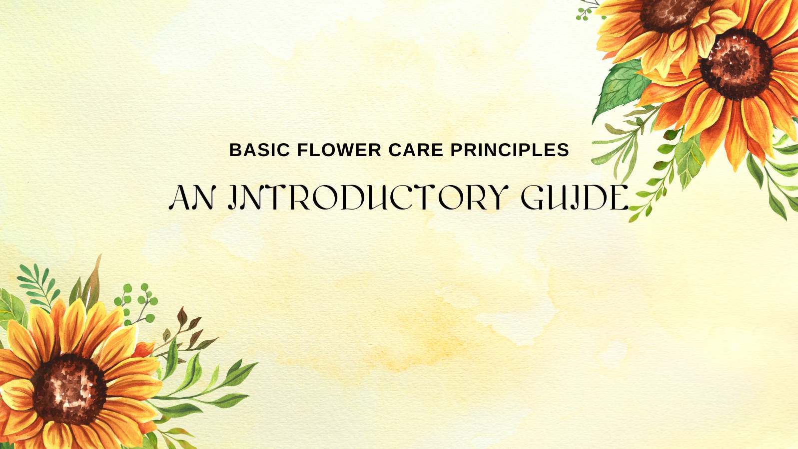 Basic Flower Care Principles: An introductory Guide