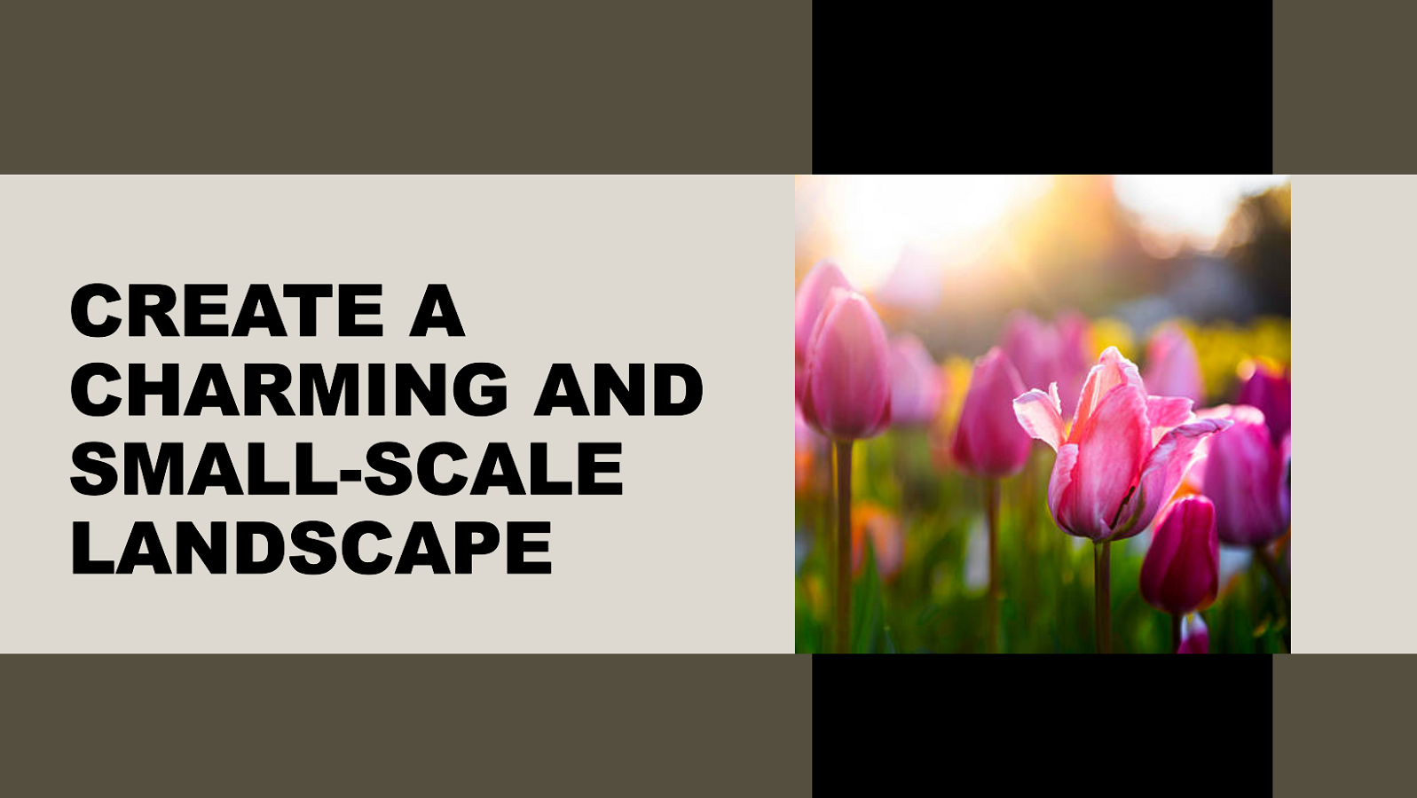 Miniature Garden Magic: Unleash Your Creativity with Blooming Tips & Ideas