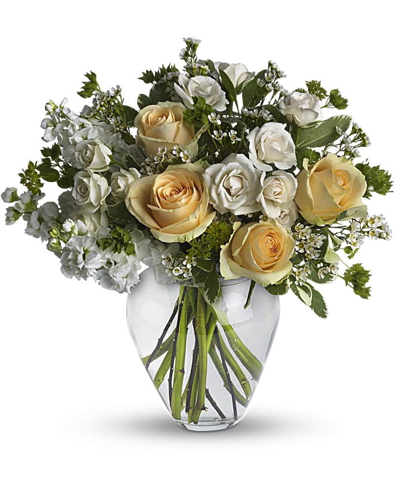 Celestial Passion - by Lily's Florist